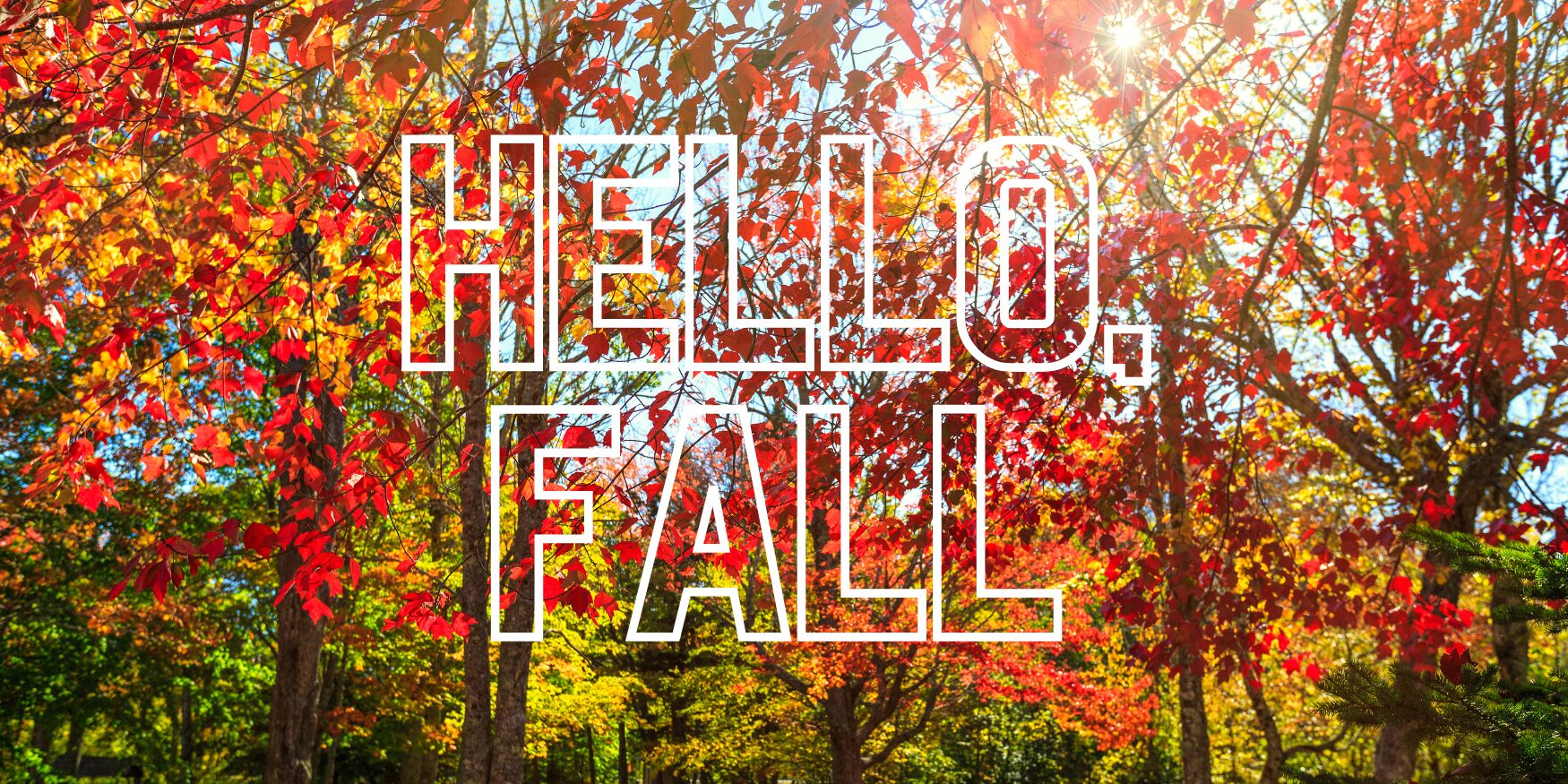 Southern Virginia Fall Events: Festive Community Gatherings